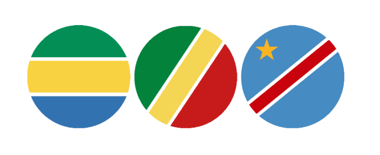 Top 10 channels in Gabon, Congo, and the Democratic Republic of Congo ...